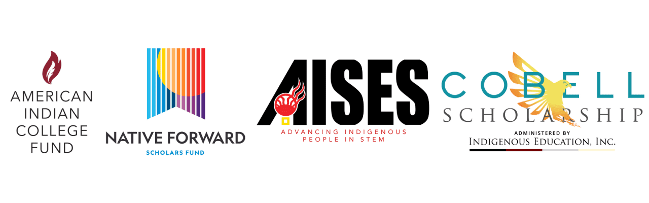 Four National Native Scholarship Providers Release National Study on ...